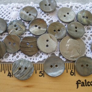 Gorgeous Silver Gray Brown Mussel Shell Buttons 17MM 28L 11/16" Pearl ...