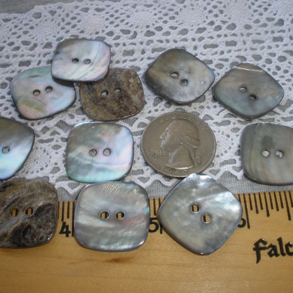 Smoke Shell Buttons - Etsy