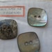 Square Smoke MOP Shell Buttons 20mm by 25mm 40L 1 Inch Agoya 2 Hole Sew ...