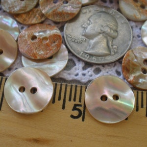 15MM Abalone Shell Buttons Natural 5/8" 24L Pearly Rose Rainbow MOP ...