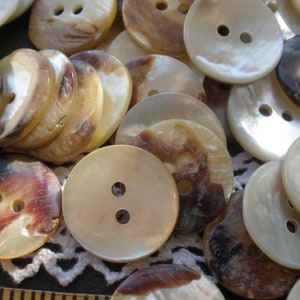 Thick Polished Real Shell Buttons Flat Back Natural Pearly 17.5mm 11/16 ...
