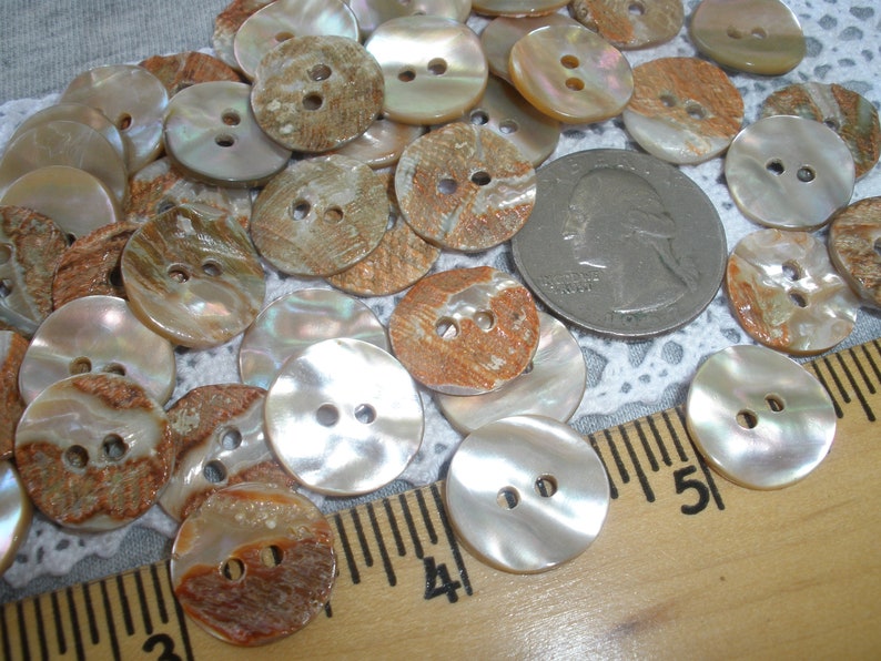 15MM Abalone Shell Buttons Natural 5/8 24L Pearly Rose - Etsy