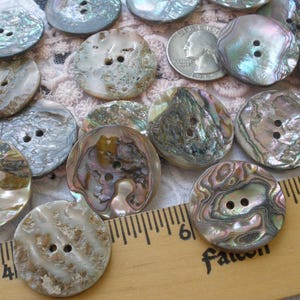 28MM Abalone Shell Buttons Natural 1 1/8 Inch 45L Pearly Rainbow MOP ...