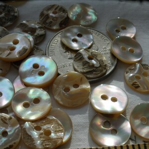 Champagne Beige Real Shell Buttons 7/16" 18L MOP Natural 11MM Sewing 2 ...