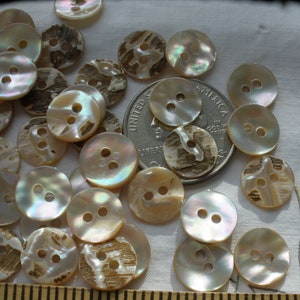 Champagne Beige Real Shell Buttons 7/16" 18L MOP Natural 11MM Sewing 2 ...