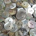 5 Gross Champagne Lustre Real Wavy Shell Buttons 11/16 28L MOP Natural ...