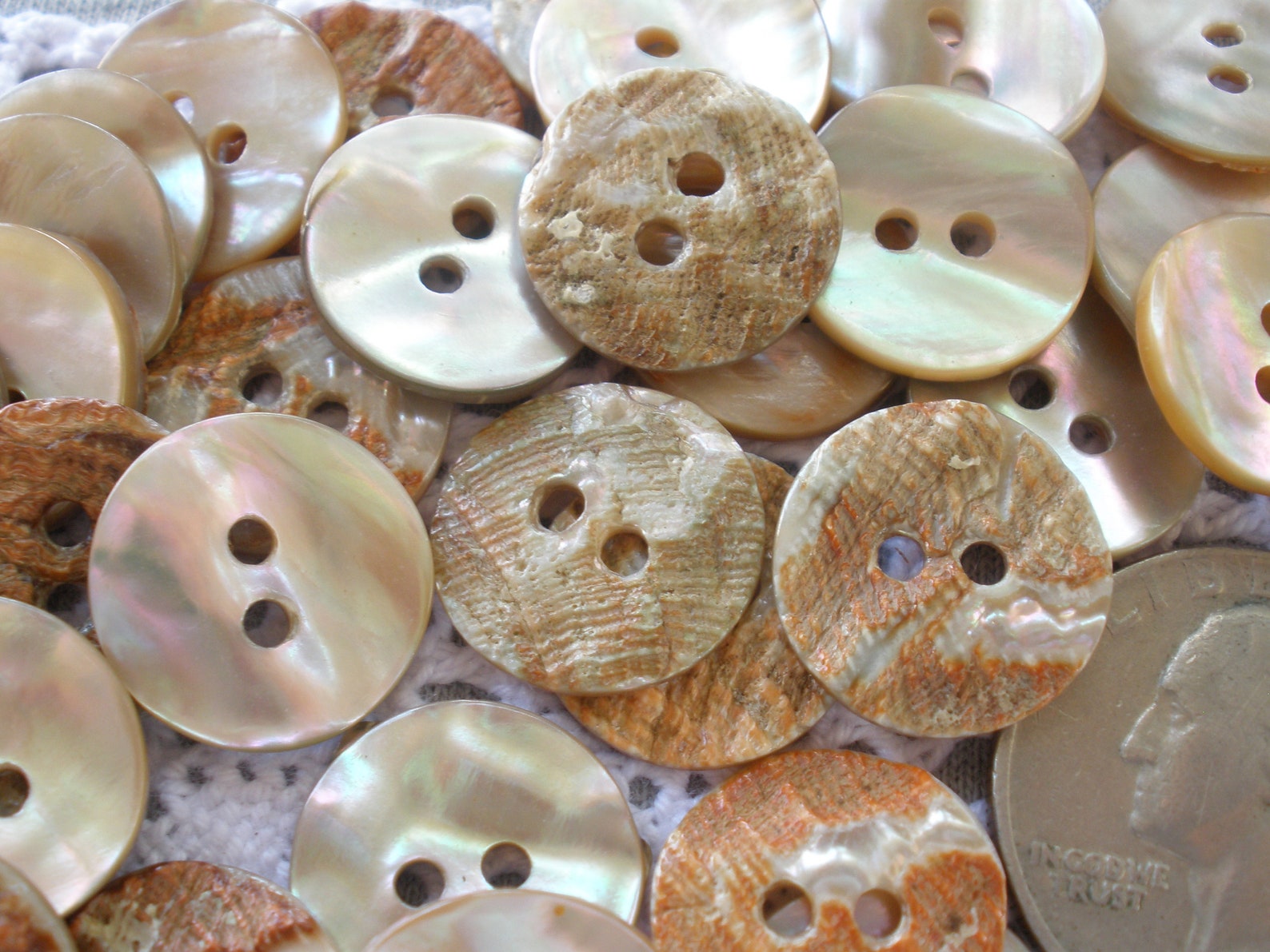 15MM Abalone Shell Buttons Natural 5/8 24L Pearly Rose | Etsy