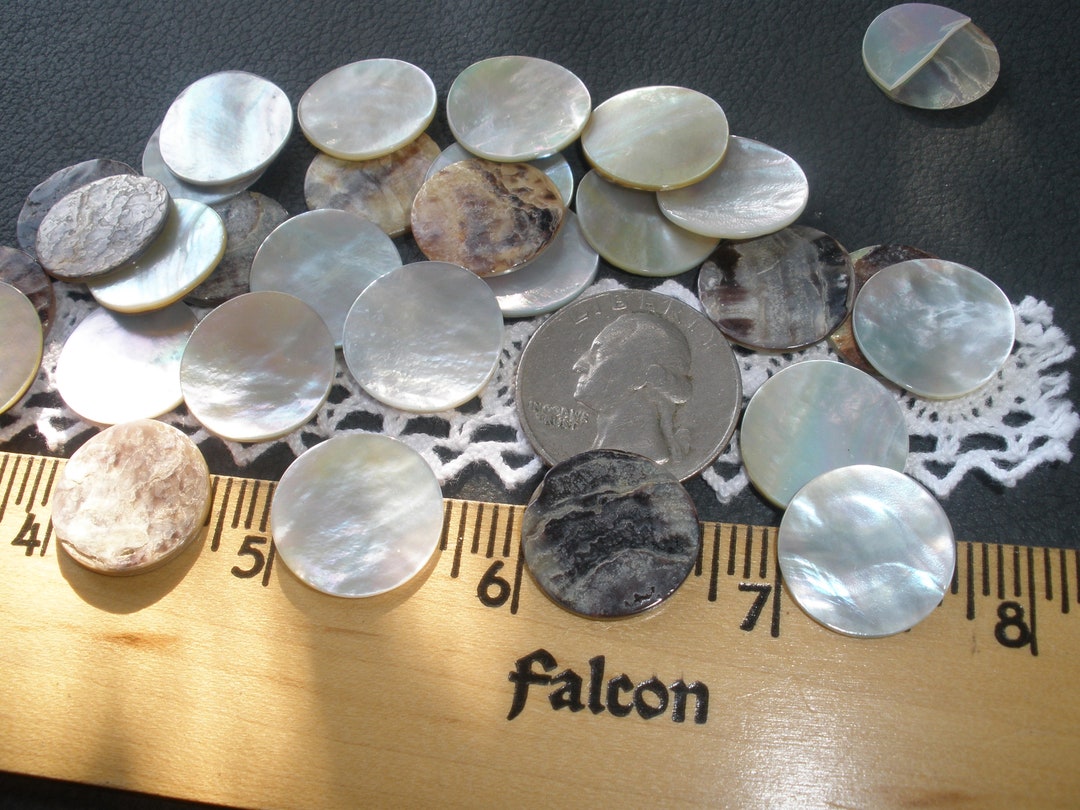 100 Shell Discs Real Agoya Shell Round Blank Discs NATURAL Pearl MOP 11 ...