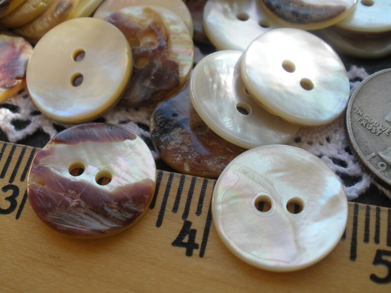 Thick Polished Real Shell Buttons Flat Back Natural Pearly 17.5mm 11/16 ...