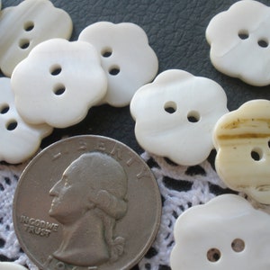 Flower Shape MOP Buttons Classic 17MM Polished White Real Shell 28L 11/ ...