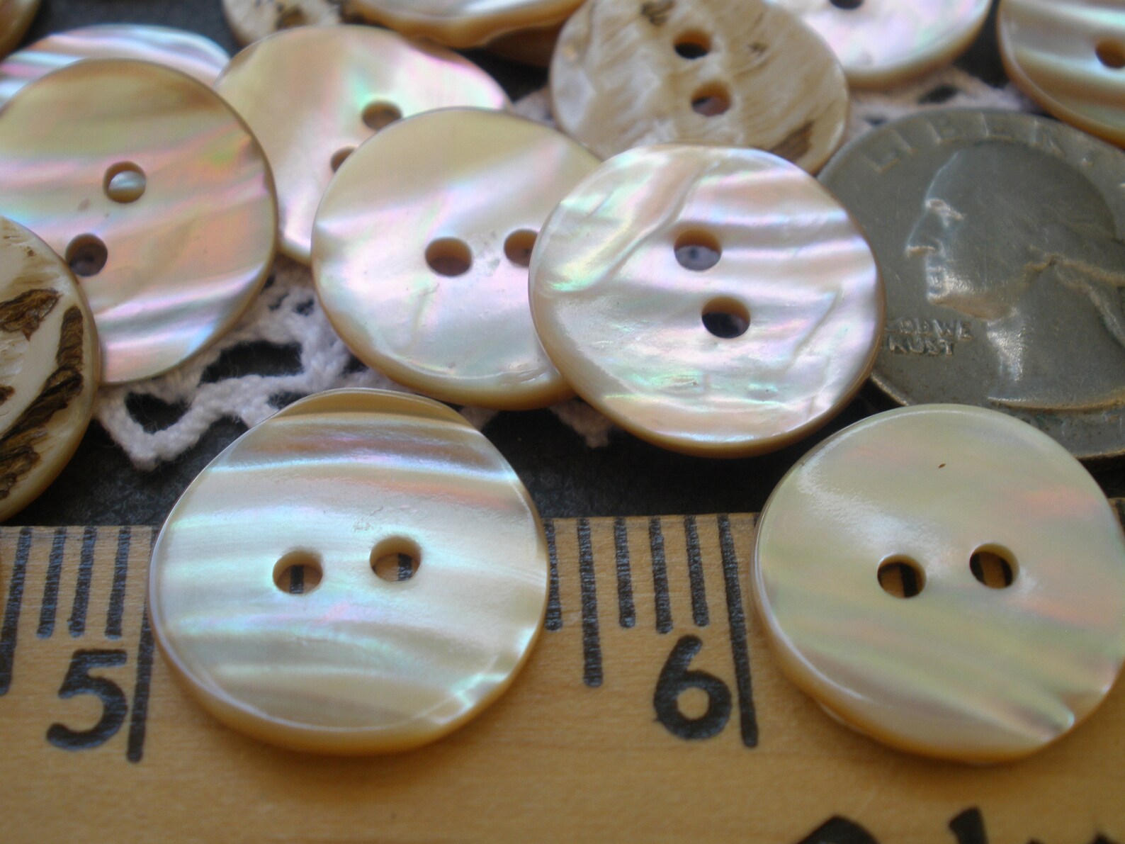Champagne Lustre Real Shell Buttons 11/16 28L MOP - Etsy