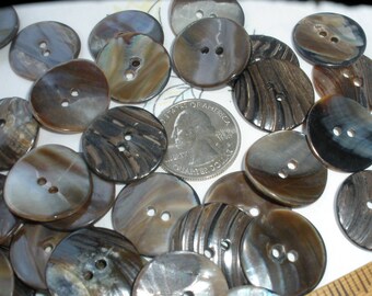 Curved Mop Shell - Etsy