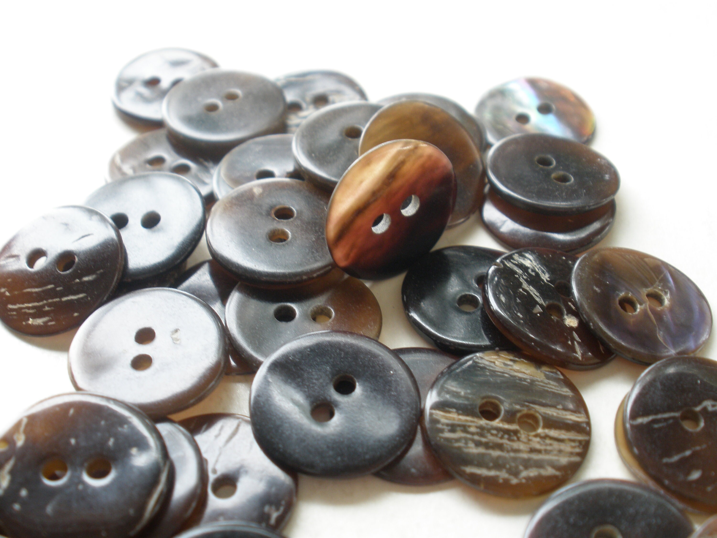 Rare Japanese key Shell Buttons Dark Brown | Etsy