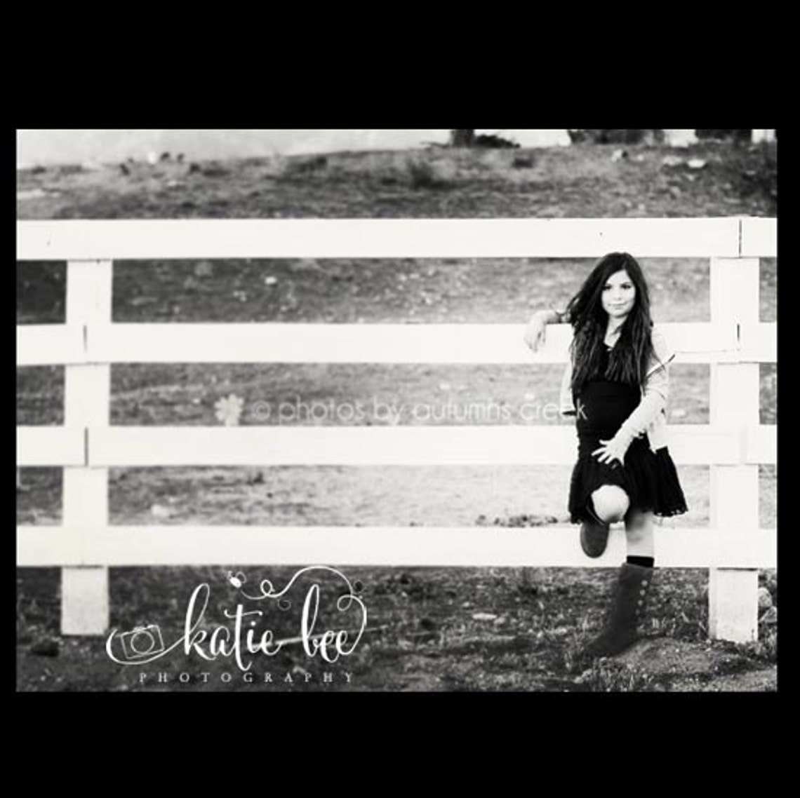 Premade Photography Logo Camera Swirls Bee Logo Watermark | Etsy