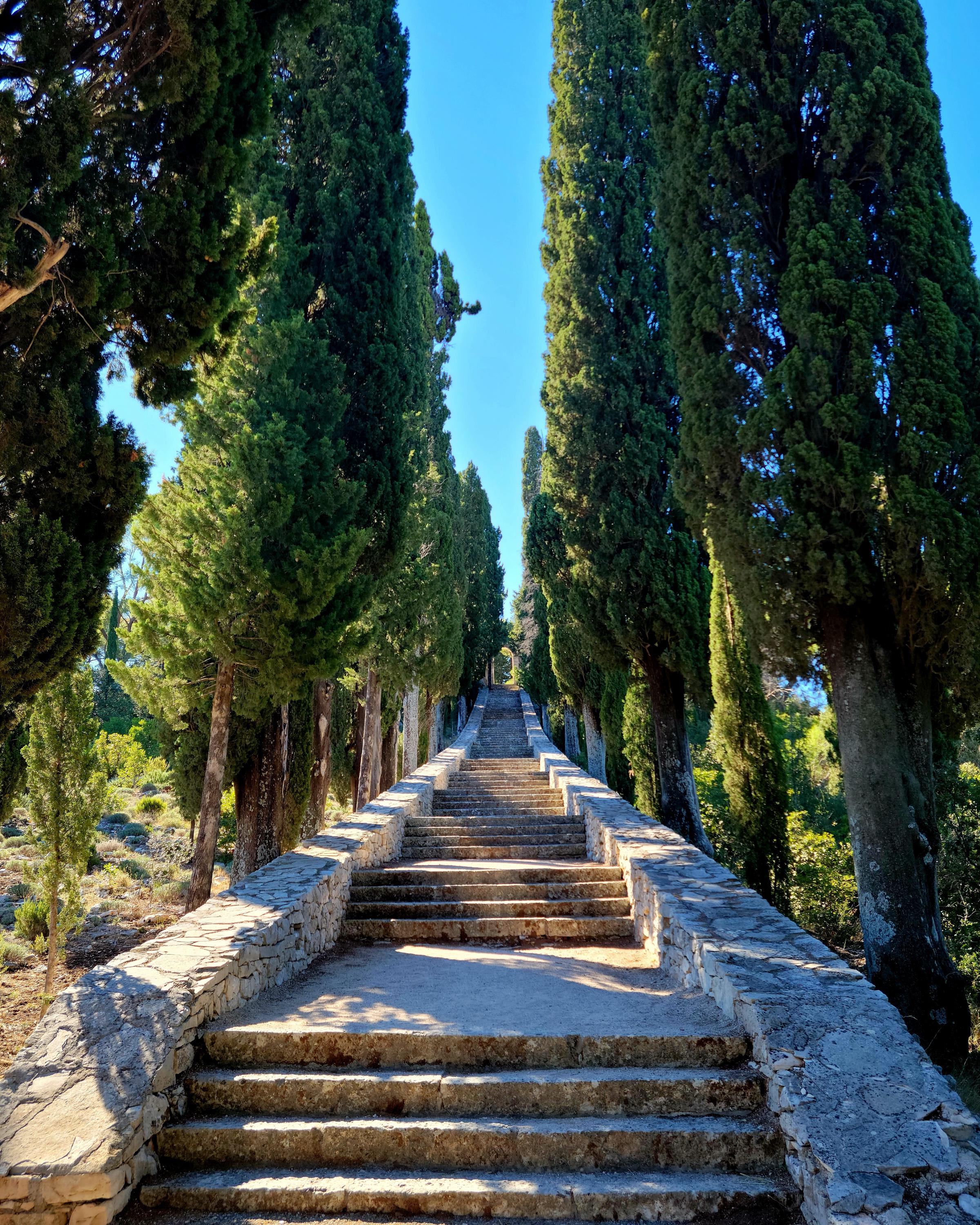 Cypress Tree Tunnel and Ancient Steps, Croatia, Korcula- Instant ...
