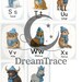 Winter Animals Alphabet Flashcards A-Z – Printable ABC Cards (a4+letter ...