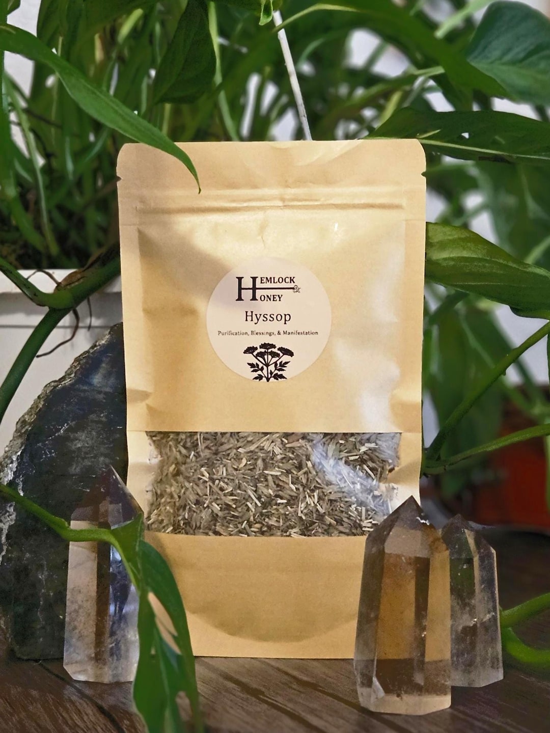 Hyssop for Cleansing, Purification, & Protection - Etsy
