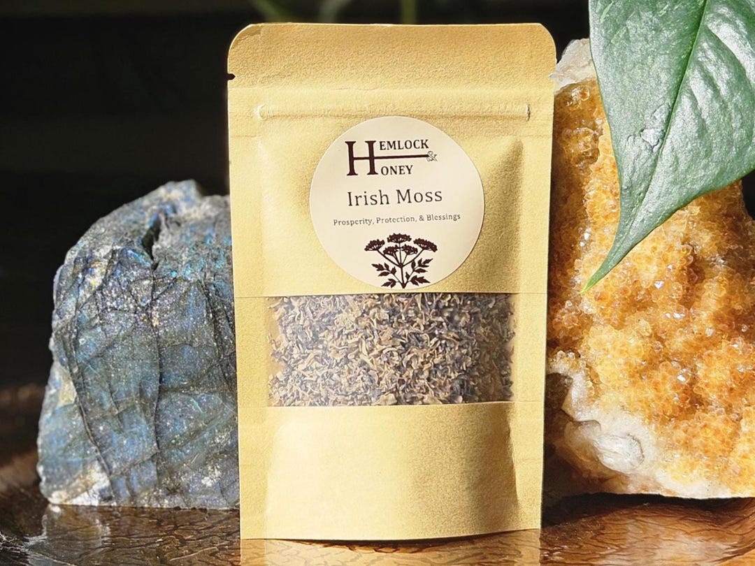 Irish Moss for Money Drawing, Blessings, & Travel Luck - Etsy