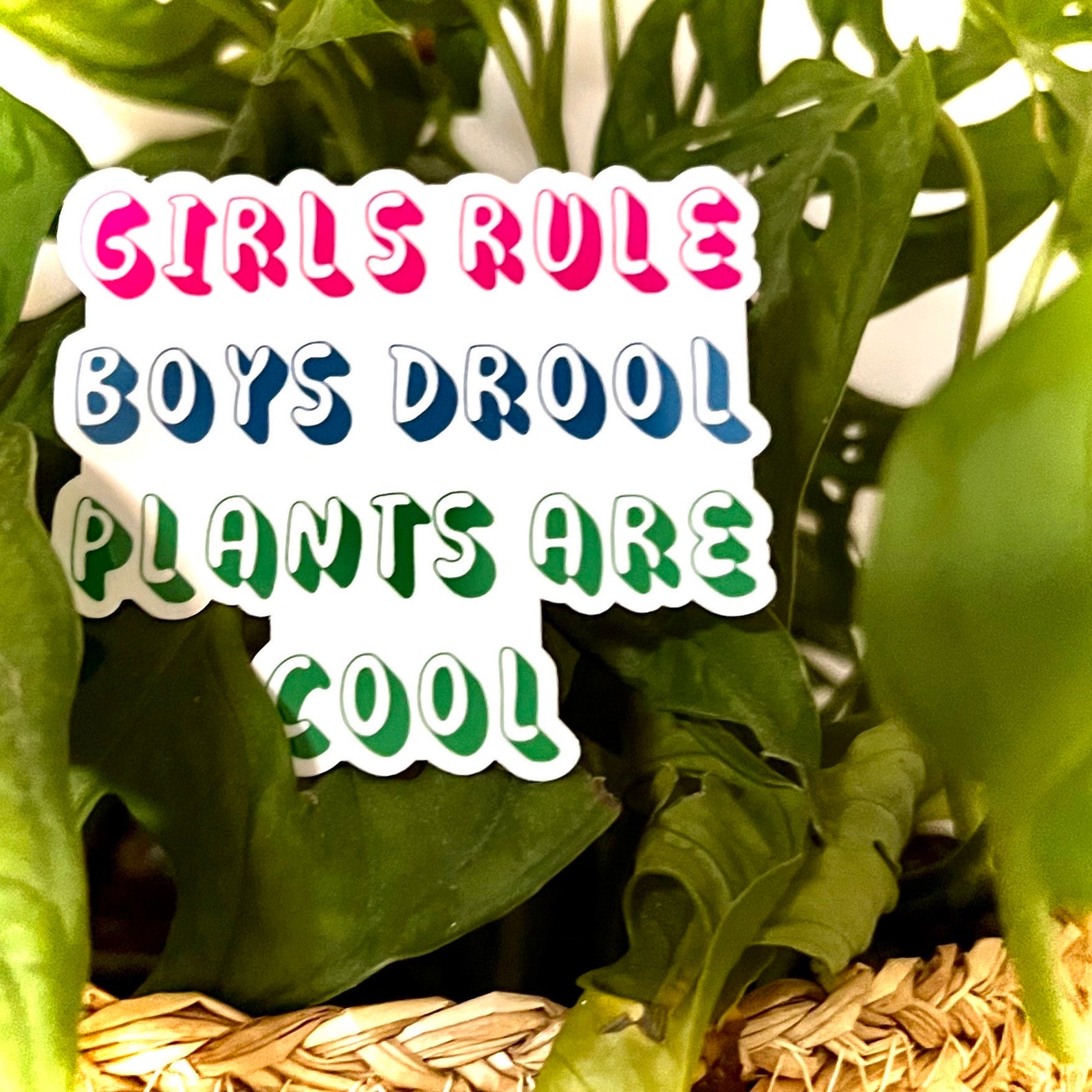 Girls Rule Boys Drool and Plants Rule Sticker Cute and - Etsy