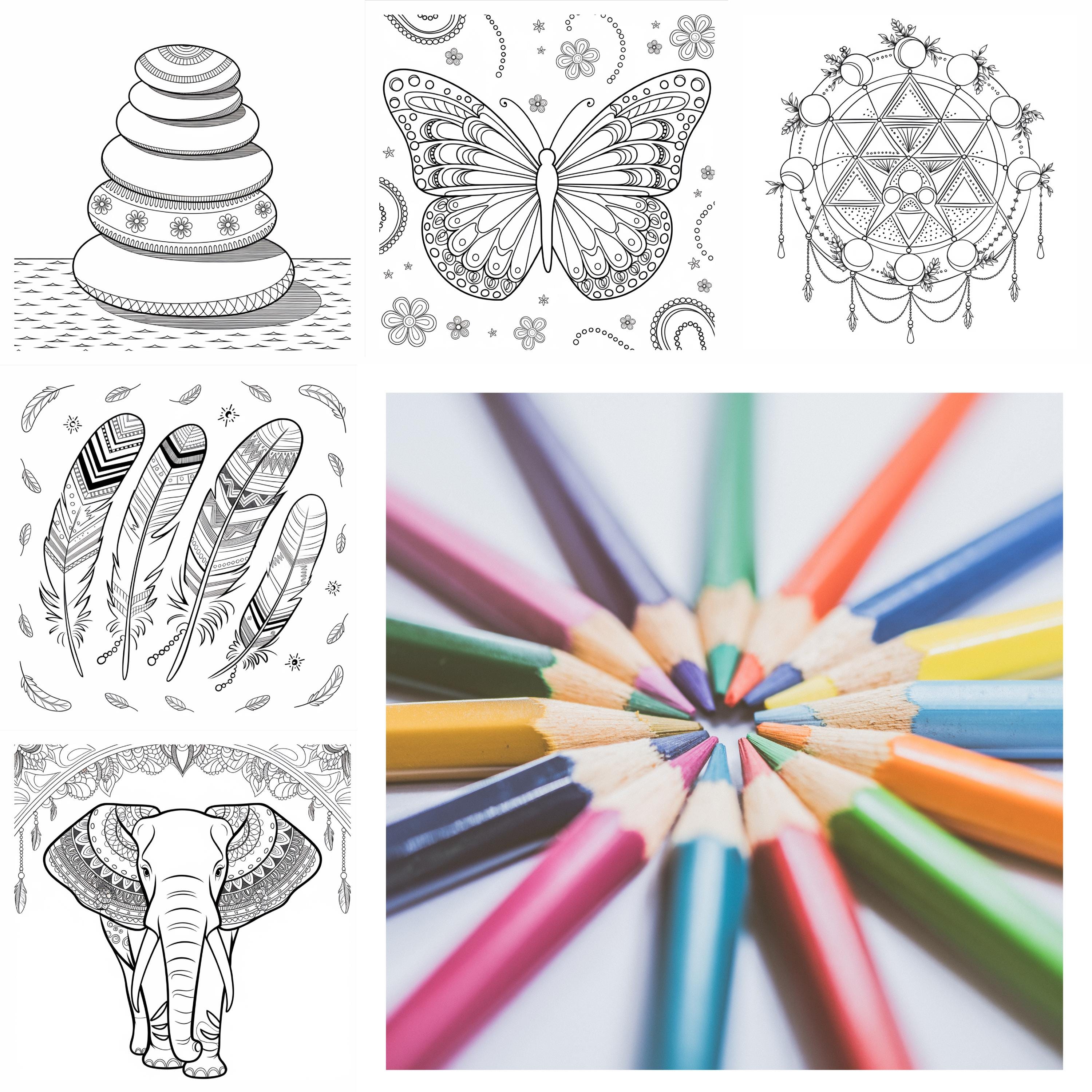 Bold and Easy, Boho Patterns Coloring Book | Fun Printable PDF, Digital ...