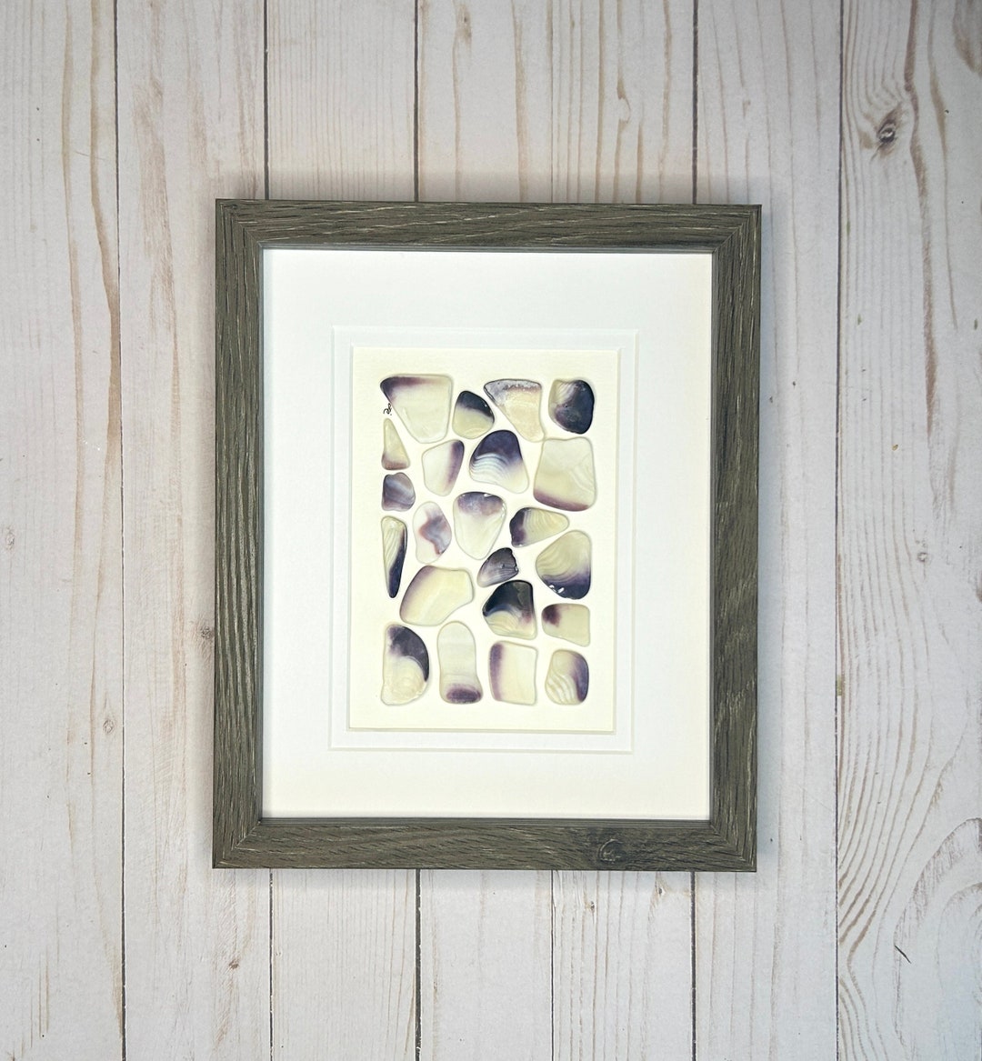 Quahog Clam Shells Purple Wampum Shells Framed Coastal Artwork - Etsy