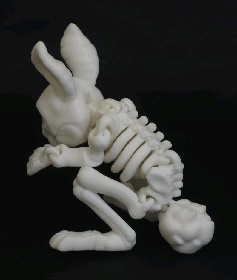 RABBIT Skeleton – 3D Collectible - Etsy