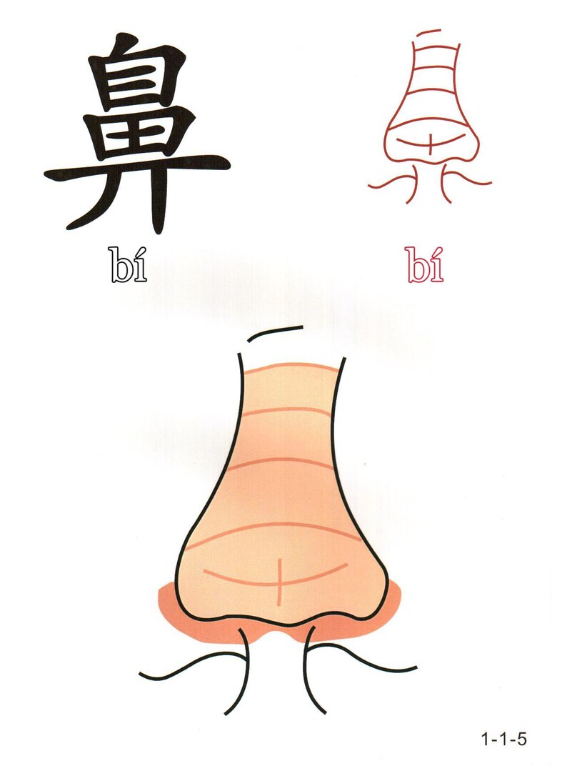 Traditional Chinese Hanzi Flashcards: Kids & Beginners (PDF Printable ...