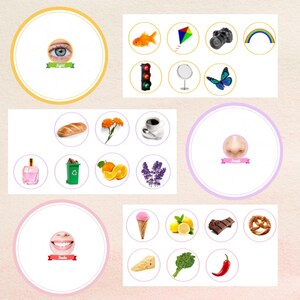 5 Senses Sorting Board Activity | Montessori Preschool Printable ...