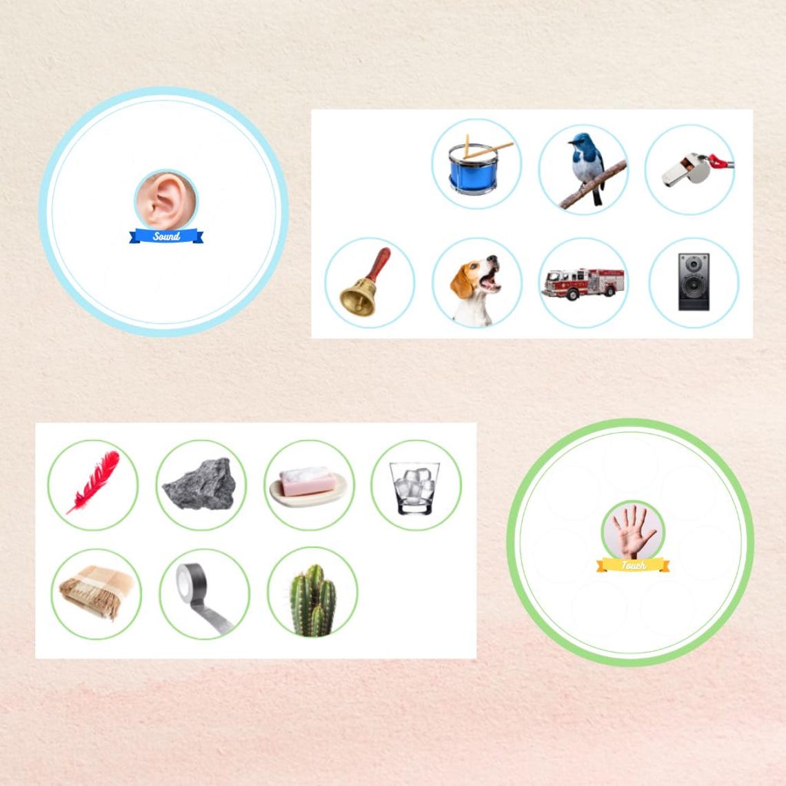 5 Senses Sorting Board Activity | Montessori Preschool Printable ...