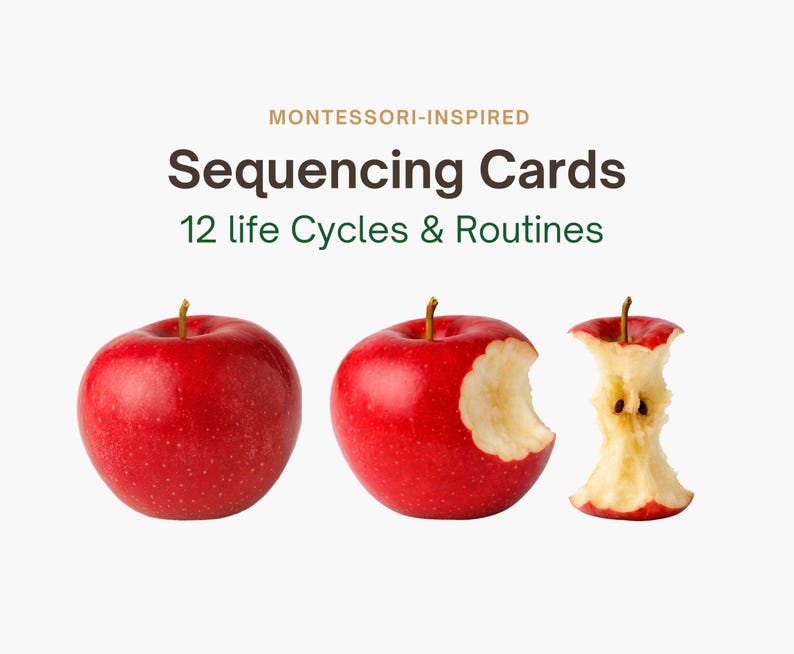 Montessori Sequencing Cards, Life Cycle & Daily Routine Activity (PDF ...