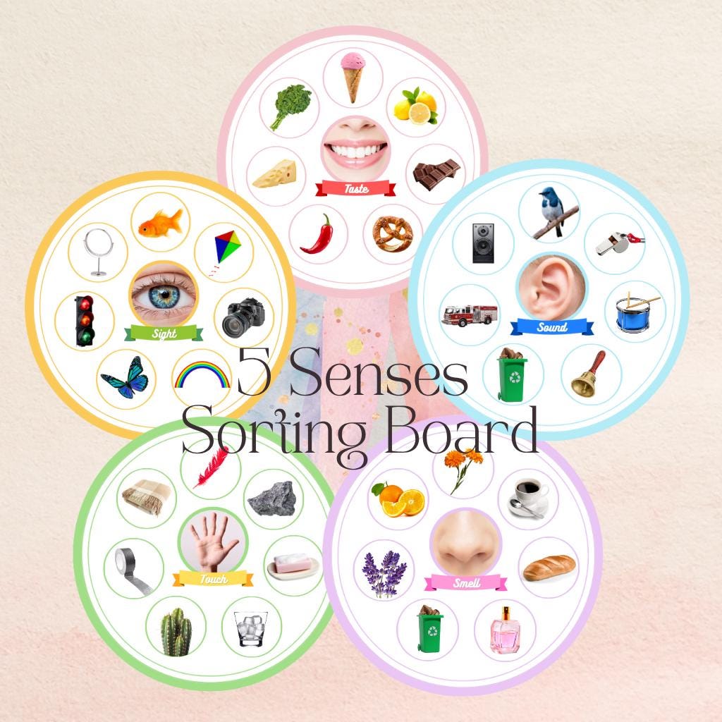 5 Senses Sorting Board Activity | Montessori Preschool Printable ...