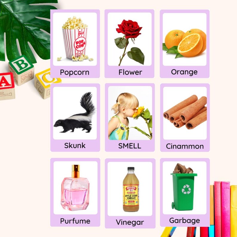 5 Senses Flashcards | Montessori Preschool Printable | Sensory Learning ...