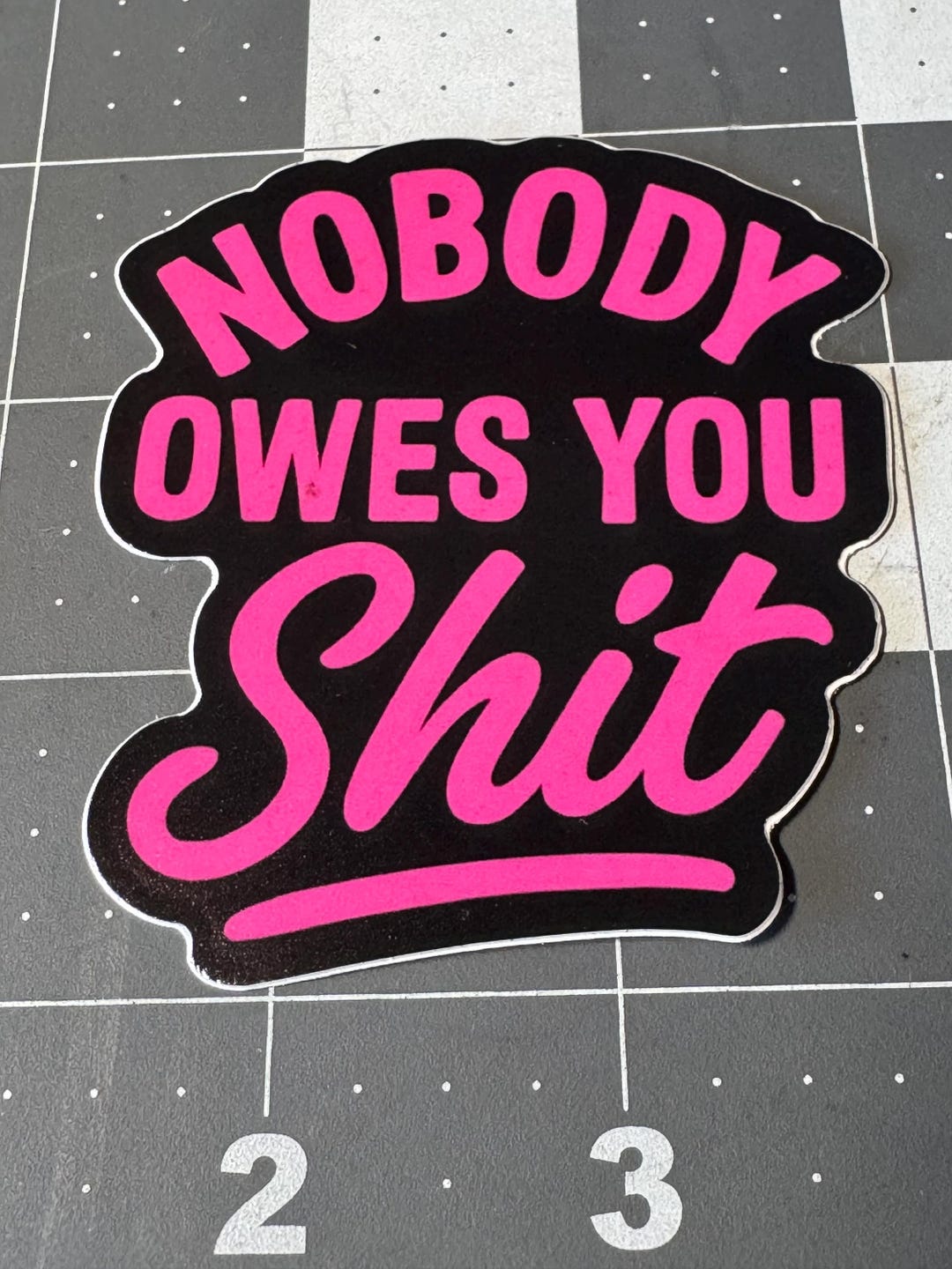 Correctional Officer Sticker Prison Guard Sticker "nowbody Owes You ...