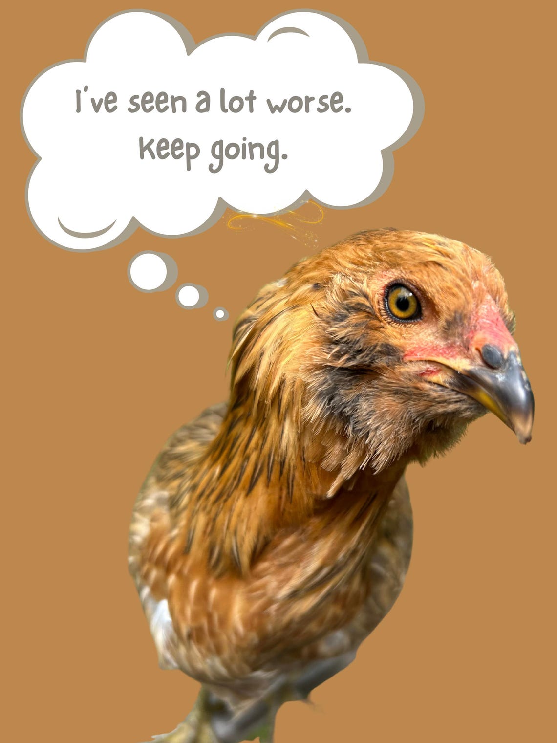 Chicken Inspirational Art! - Etsy
