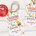 Editable Bee Valentine's Day Gift Tag Meant to Bee Friends Valentine ...