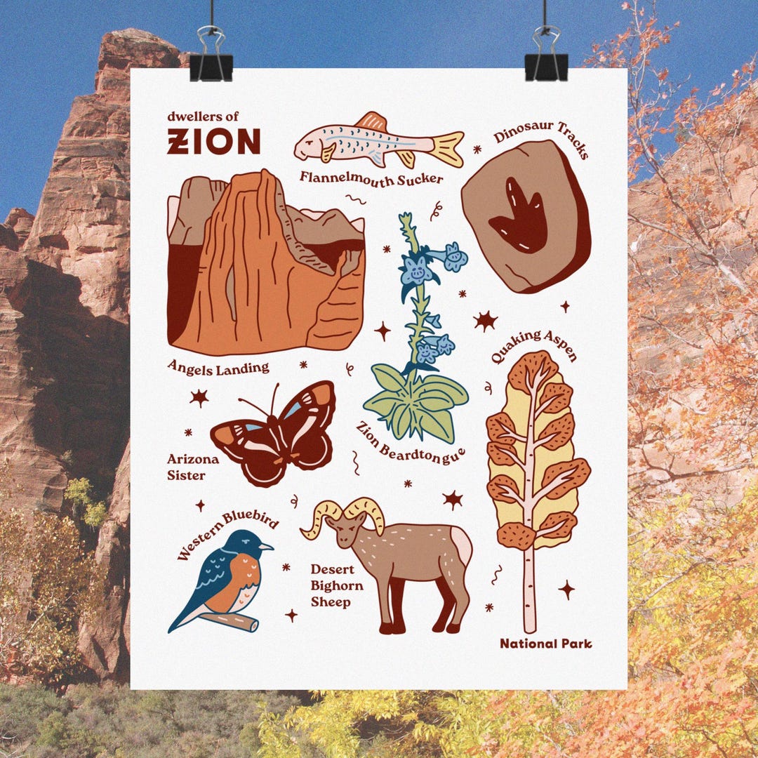 Zion National Park Poster: Desert Plants & Animals Art Print, Utah ...