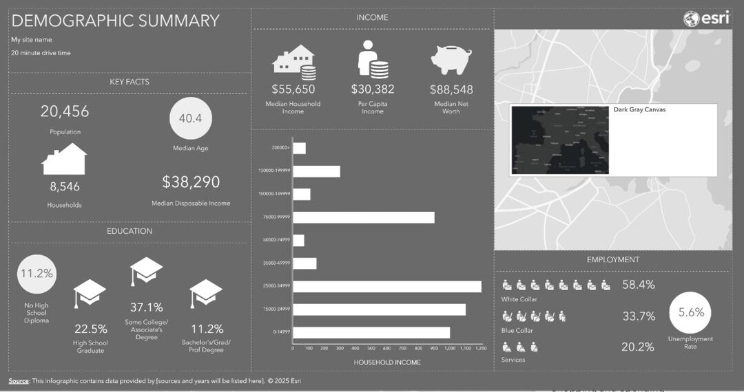 Demographic Summary (PDF and Excel Emailed) - Etsy