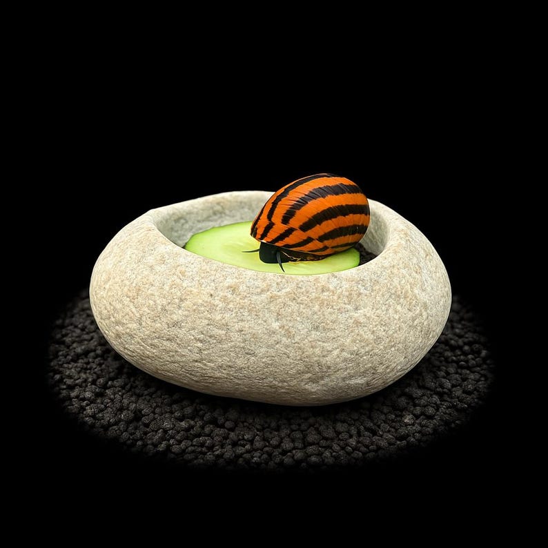 Snail Feeding Stone Bowl | Natural River Pebble Dish for Nerite ...