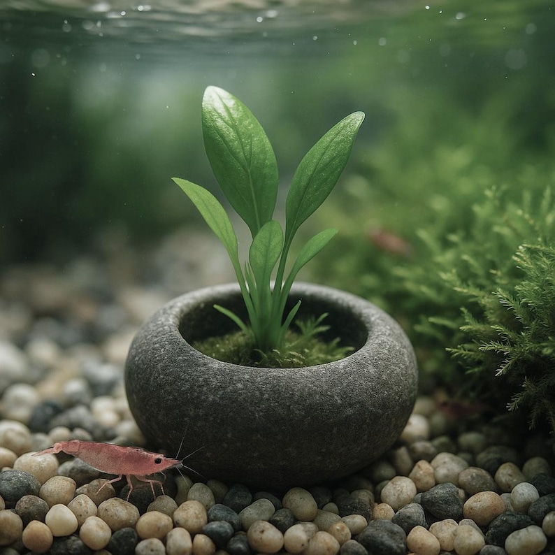 Handmade Mini Stone Aquarium Plant Holder – Natural River Pebble Pot ...