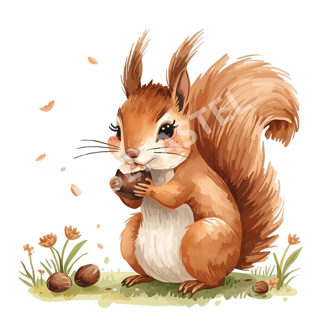 Watercolor Squirrel Clipart: Woodland Animal PNG (digital Download) - Etsy