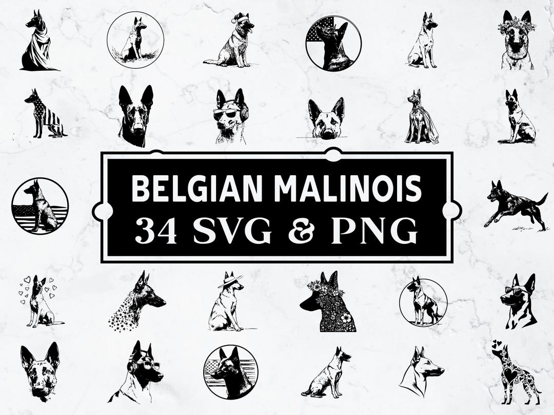 Belgian Malinois Dog SVG PNG Bundle | Silhouette Vector Designs - Etsy