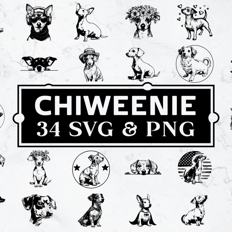 Chiweenie Decal - Etsy