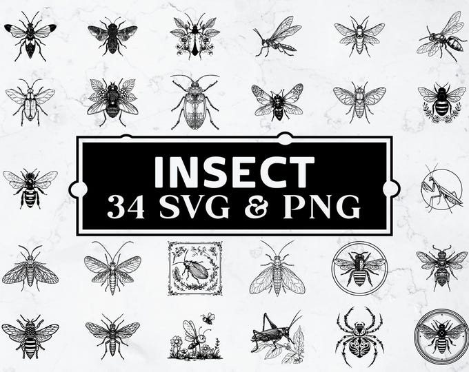 Insect SVG, Insects Bundle SVG Files for Silhouette and Cricut. Insect ...