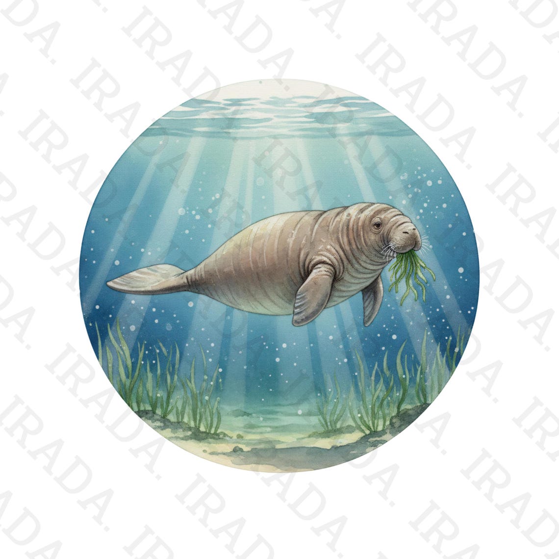 Watercolor Manatee Clipart, Sea Cow Png for Sublimation, Ocean Animal ...