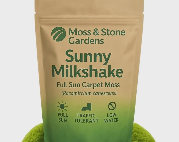 Dusk Moss Mix - Etsy