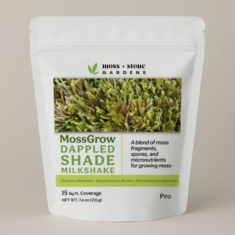 Moss Slurry - Etsy
