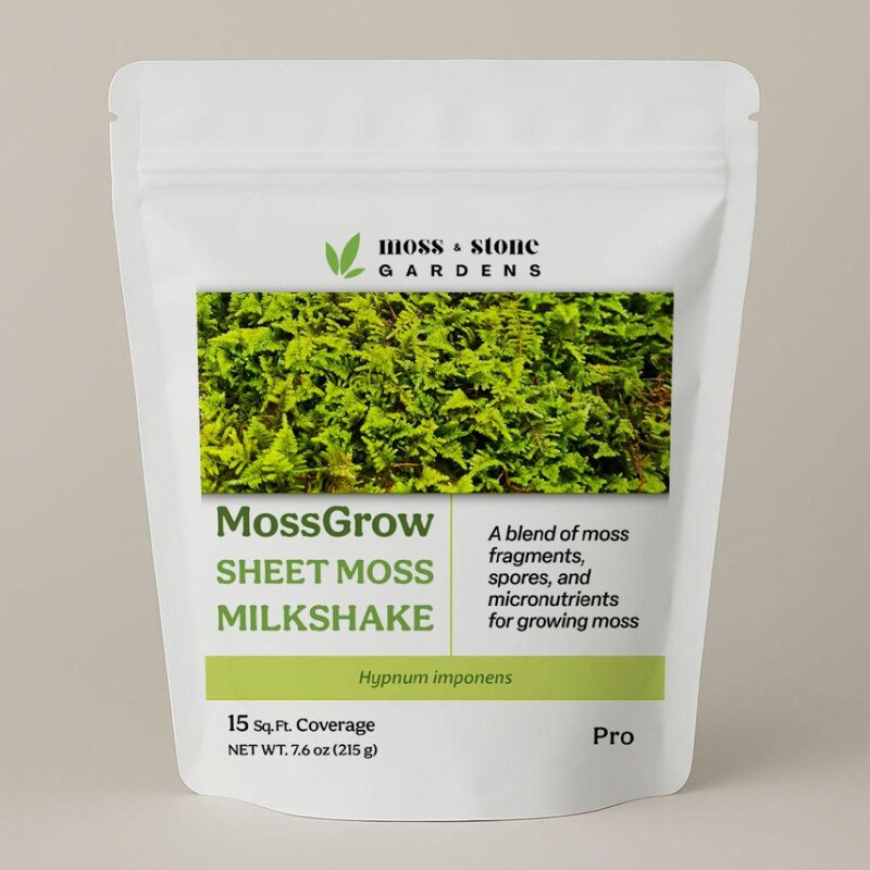Moss Slurry - Etsy