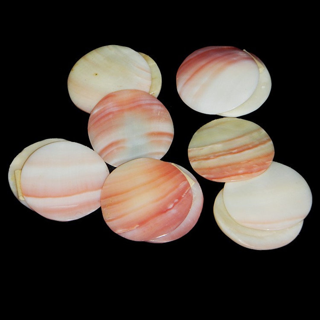 1 to 25 Tiger Clam Discs Disks Round and Oval Capiz Like Multi Color ...