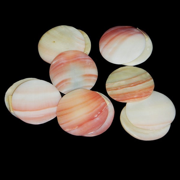 Multi Color Shell - Etsy