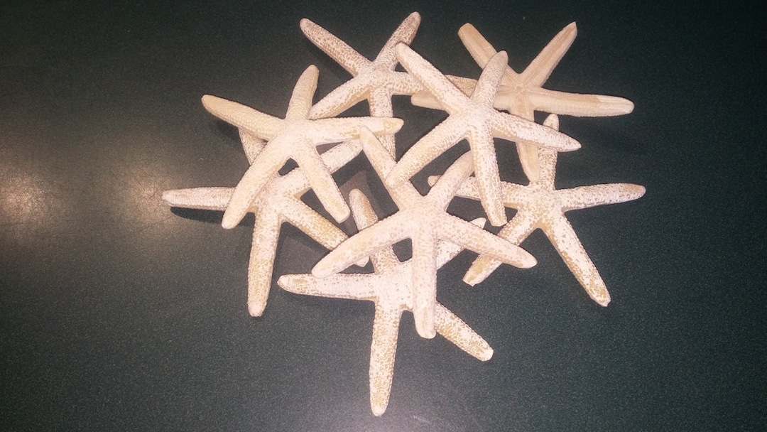 6 up to 250 Faux Resin Starfish 3 1/2 -3 3/4 " Inch Fake Starfish off ...